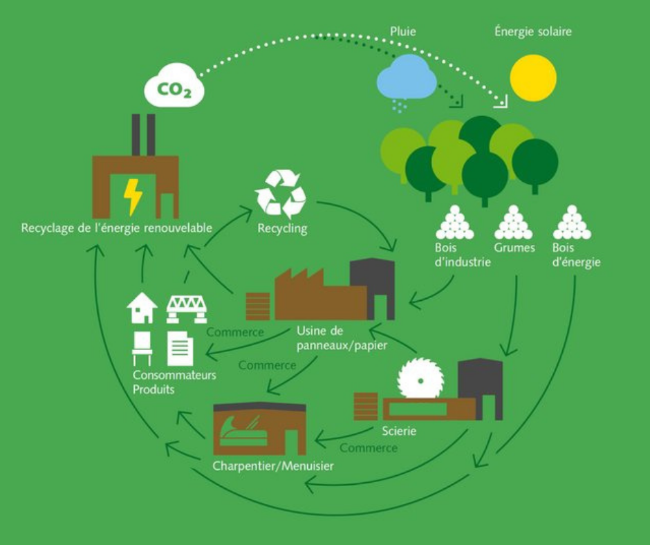 Les prestations climatiques de l'utilisation du bois